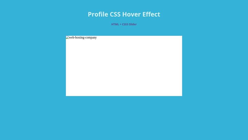 Profile Css Hover Effect