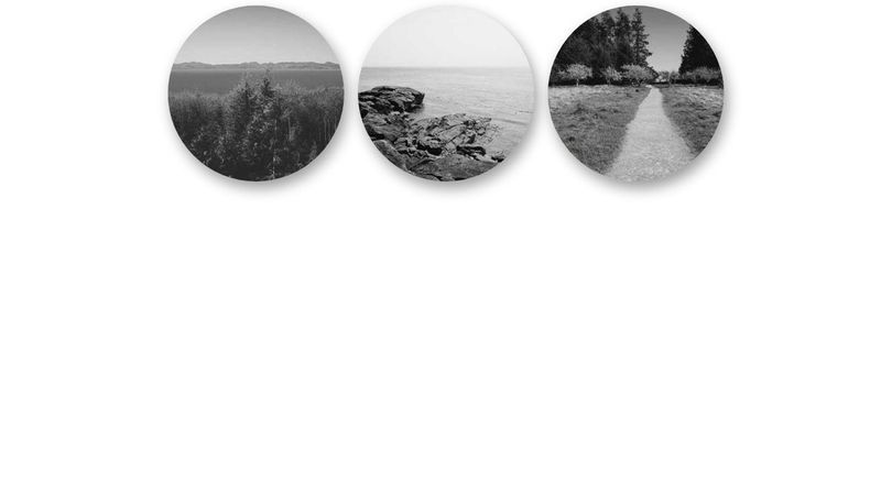 hover effect using css