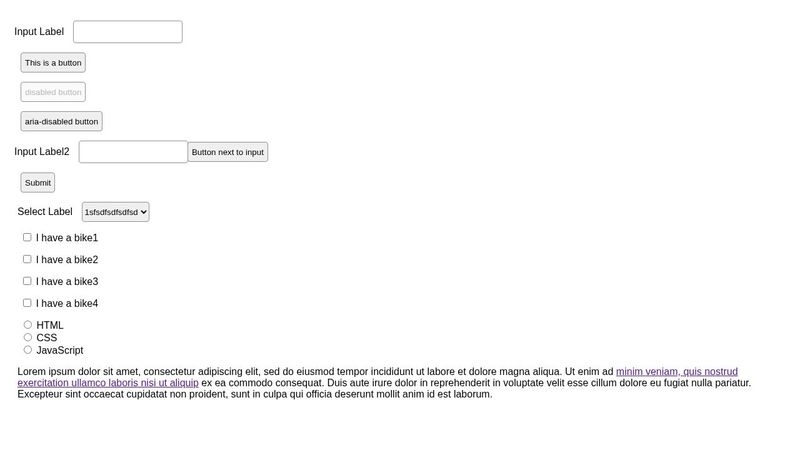 Accessible Focus Outline