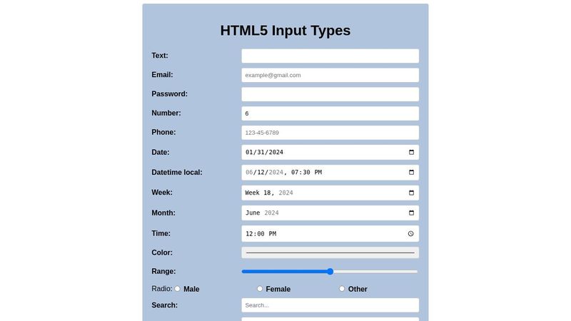 all input + style css