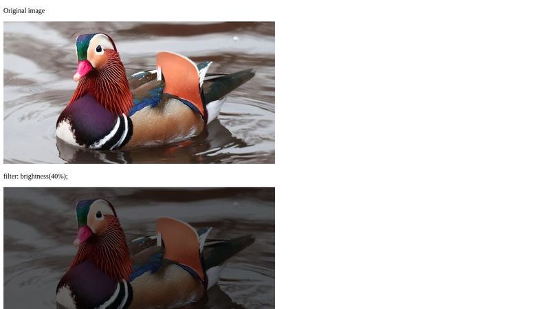 COMPSCI 719 Module 3.2 image filter example