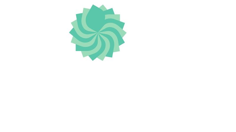 CSS Flower