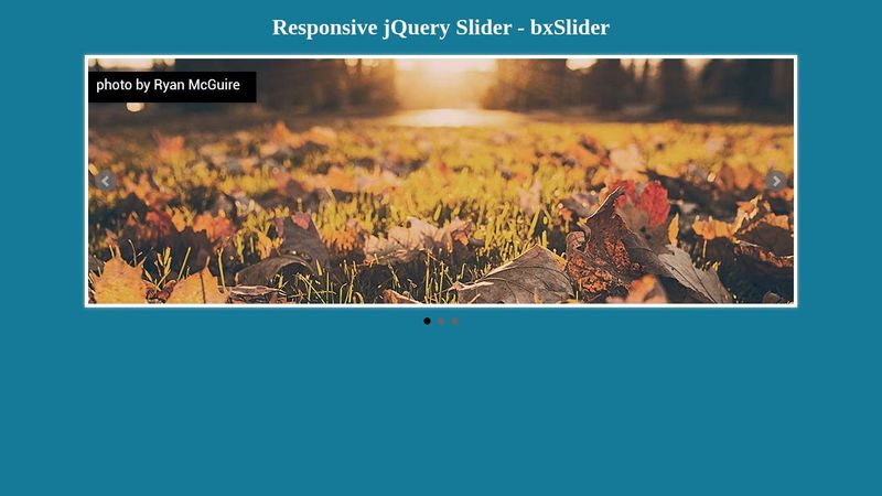 Responsive jQuery Slider - bxSlider