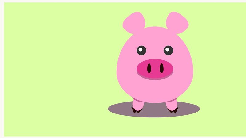 Pig in CSS
