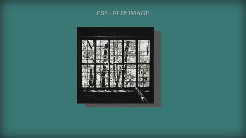 CSS - flip image