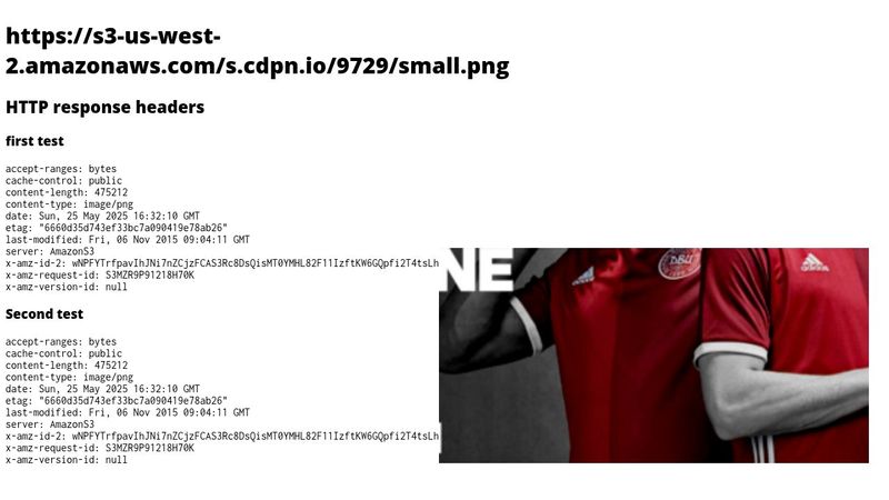 The HTTP headers of CodePen Assets