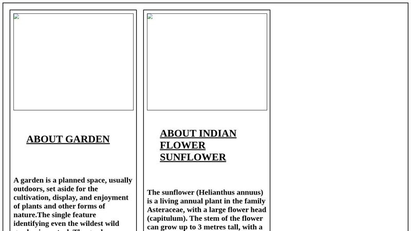 CodePen - A Pen by allenki akshay