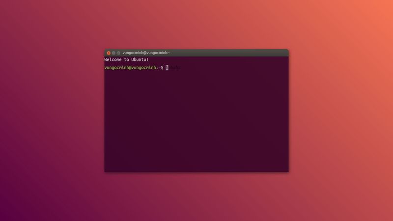 Ubuntu Terminal CSS