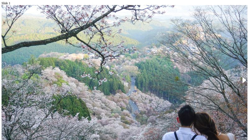 swiper-arrow-css-customized