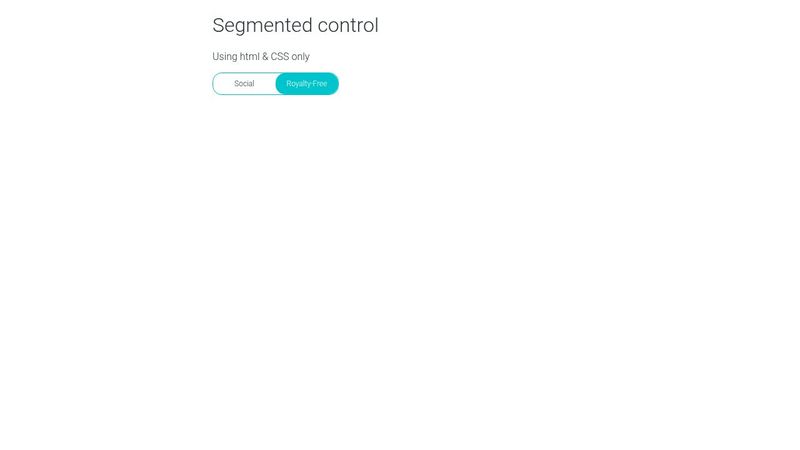 Segmented control with CSS