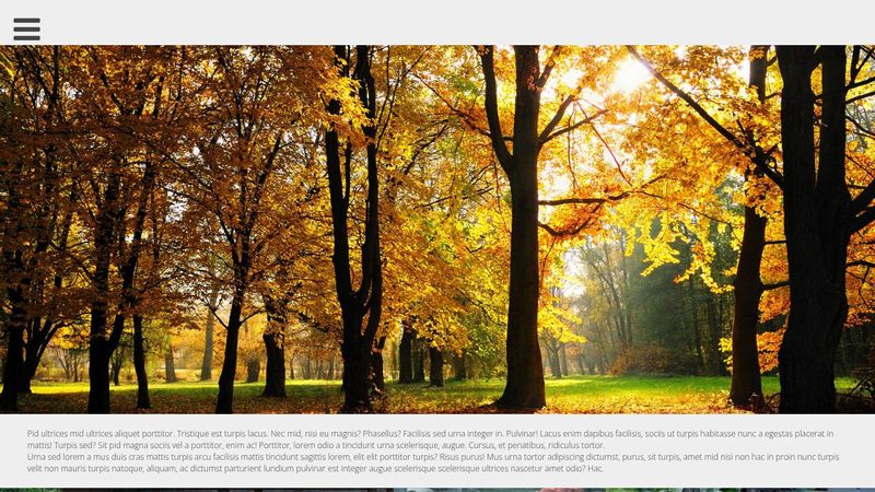 Parallax-ImageScroll jQuery plugin - mobile fallback