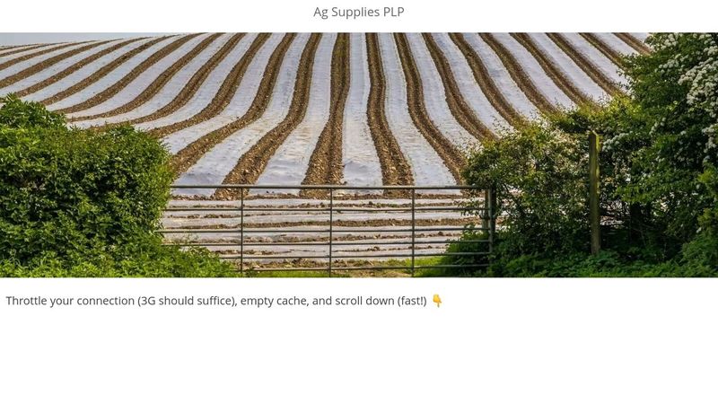 Low Quality Image Placeholder and Lazy Loading with Cloudinary