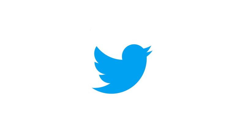 Pure CSS Twitter logo