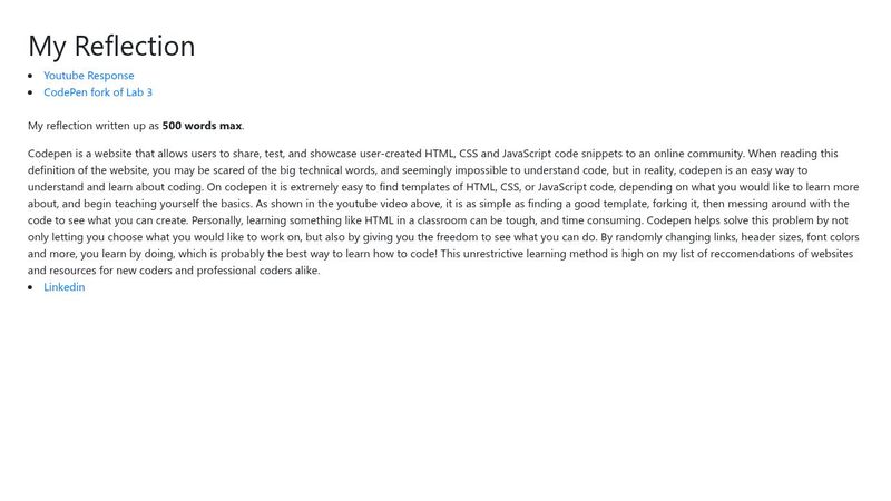 Week 3 Reflection Pen