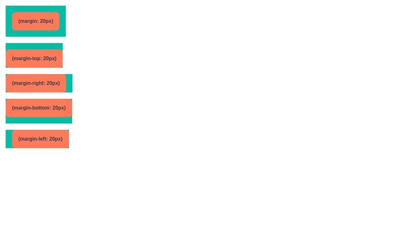 CSS Margin vs. Padding - Setting Margins 1