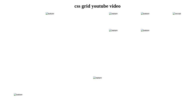 CSS Grid Image Gallery