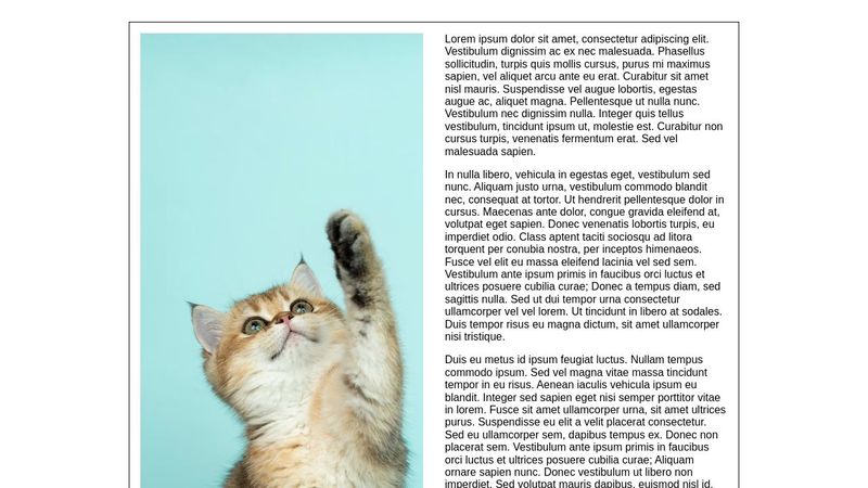 A Pen by Kitty Giraudel