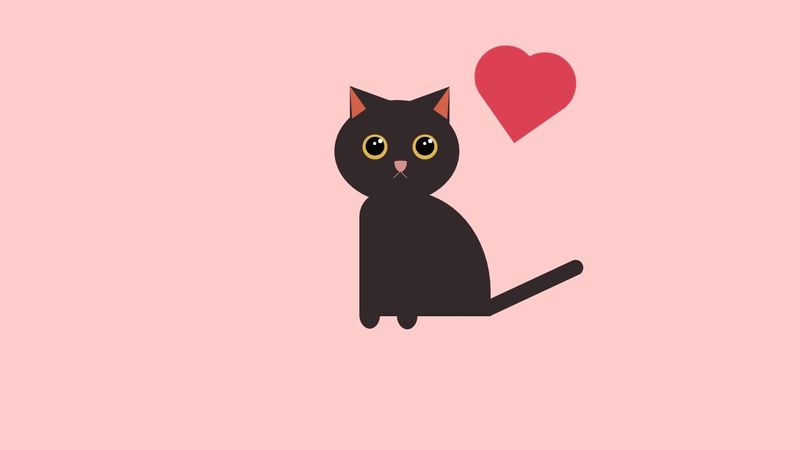 Cat Illustration with animation - Pure CSS🐈