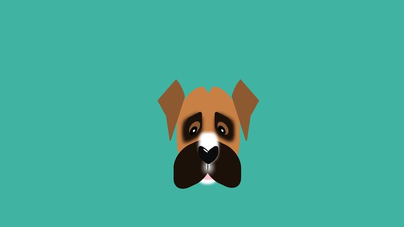 css dog 2