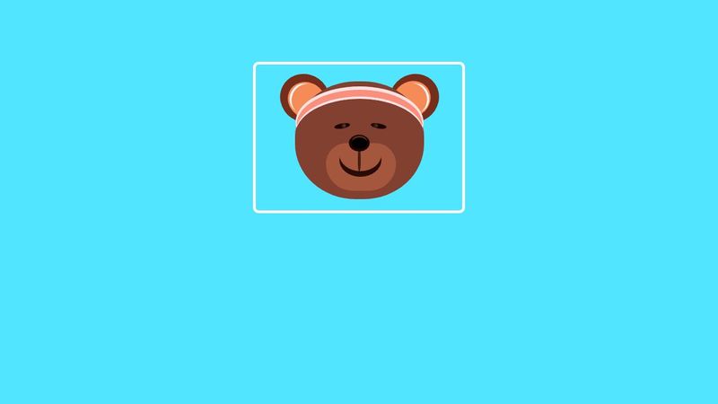 CSS BEAR
