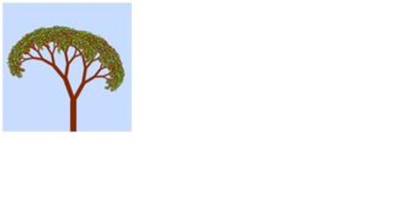 Codevember#3 Animated Tree: (P5.JS fractal tree)