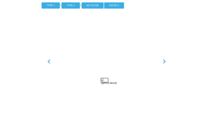 angular gallery with filter and carousel, lightbox zoom image