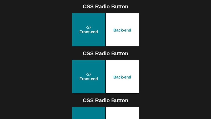 Radio Button Big Square [Just CSS]