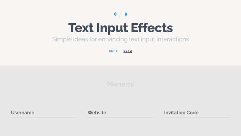 css input style