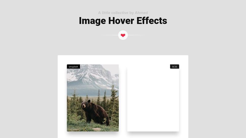 Image Hover Effects