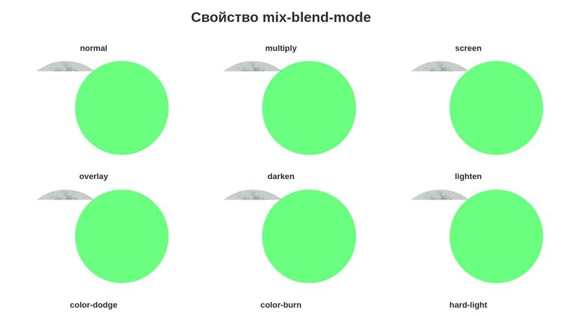 CodePen - A Pen by Elena