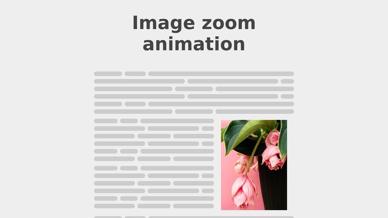 Image Zoom Animation