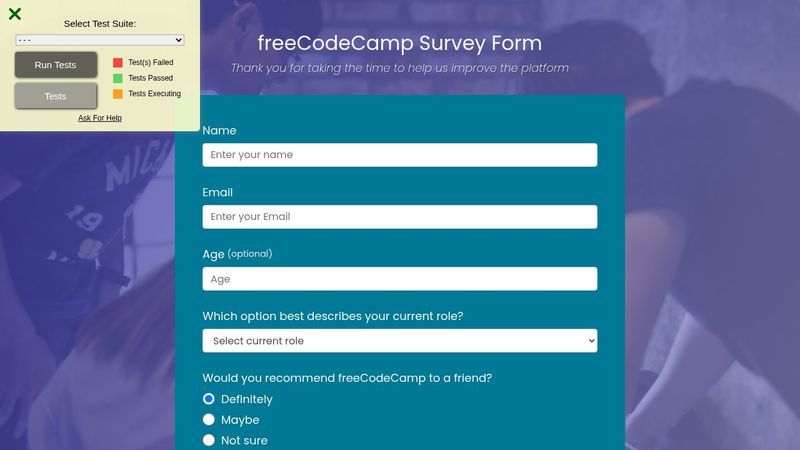 FreeCodeCamp - Survey Form