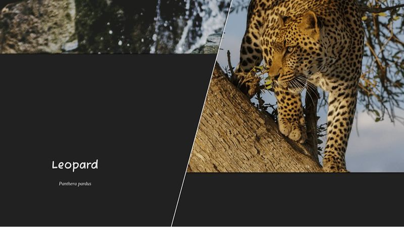 Pure CSS diagonal scroll reveal