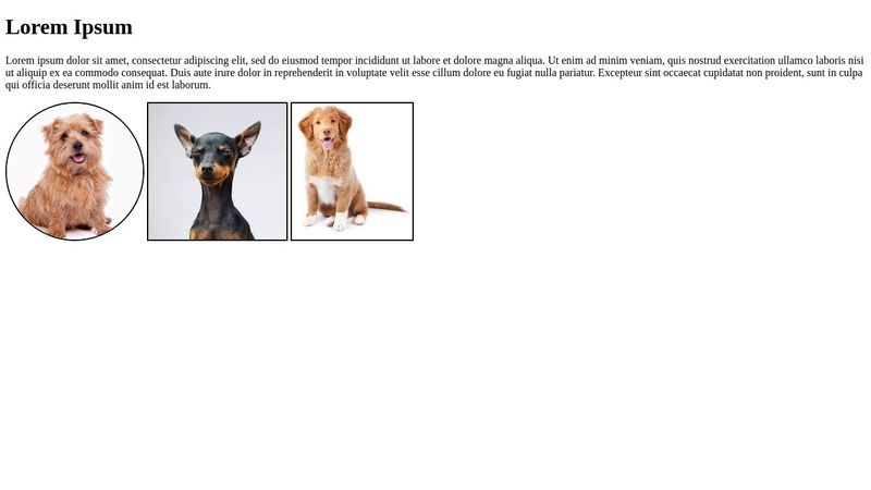 CodePen - A Pen by Callum Morris