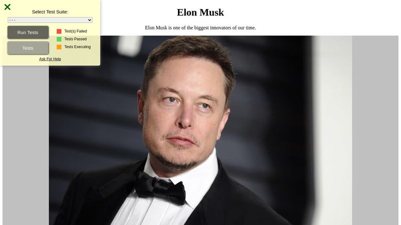 Elon Musk - Tribute Page