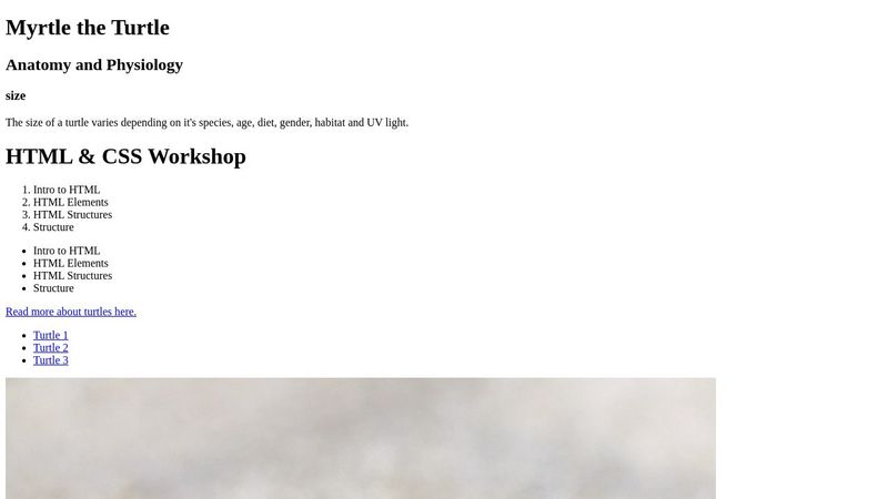 HTML & CSS Workshop - Part 1 - Template