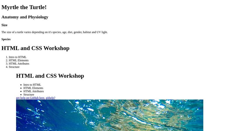 HTML & CSS Workshop - Part 1 - Template