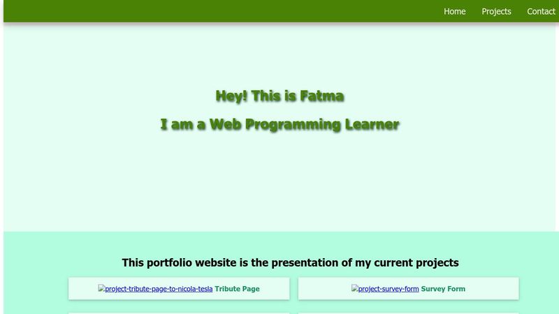 FreeCodeCamp-Responsive Web Design Projects:Portfolio