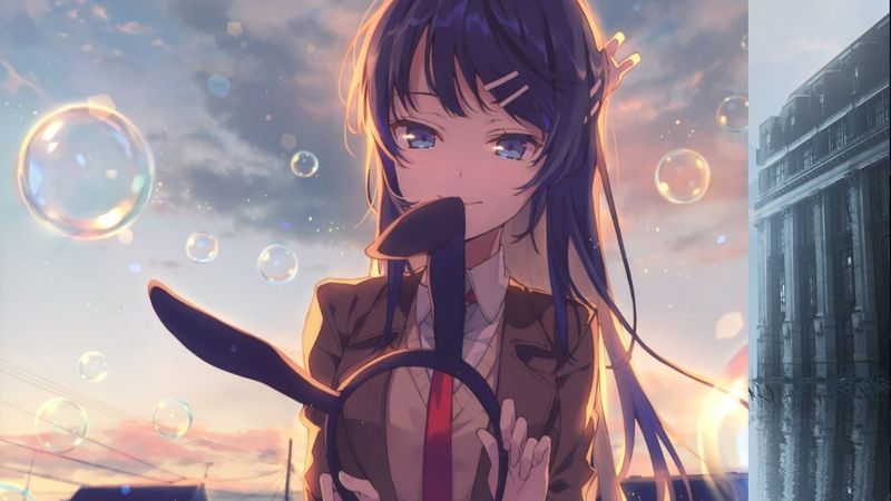 Animated Image Slider (Pure CSS)