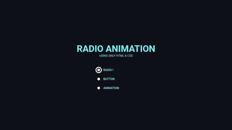 Radio Button Animation
