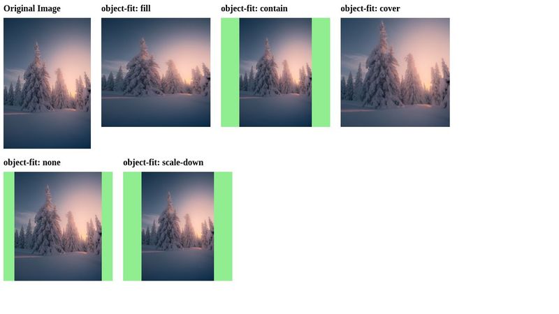 css object fit: object fit examples 2