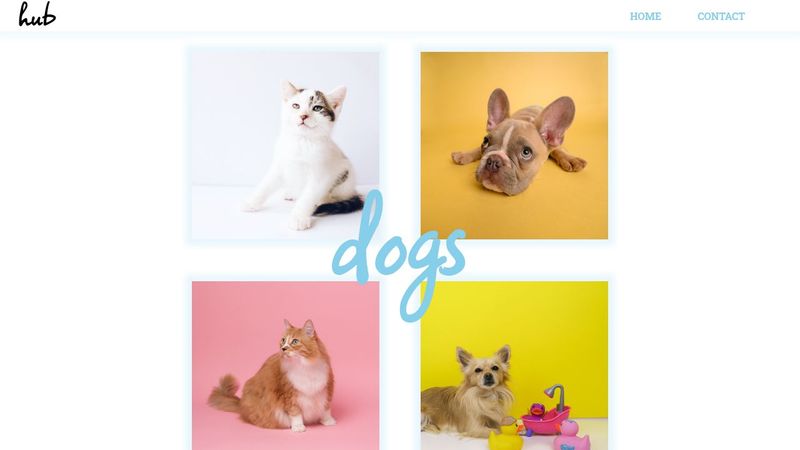 Codepen Challenge: Gallery Details