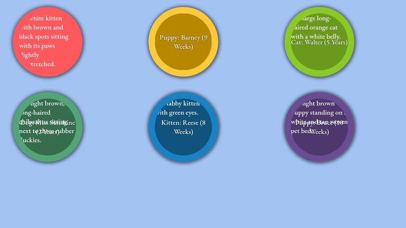 Medals effects examples