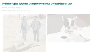 MediaPipe Object Detection for web