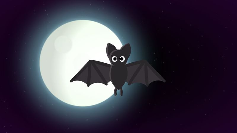 Bat-Cat Transmutation - CSS