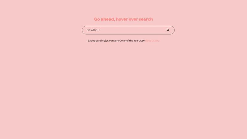CSS effect for search input