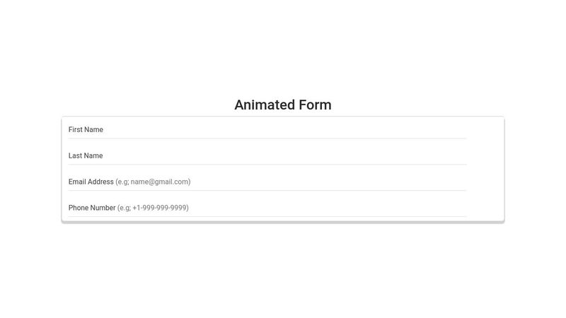 Animated Input in forms