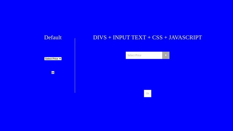 CUSTOM SELECT/DROPDOWN INPUT