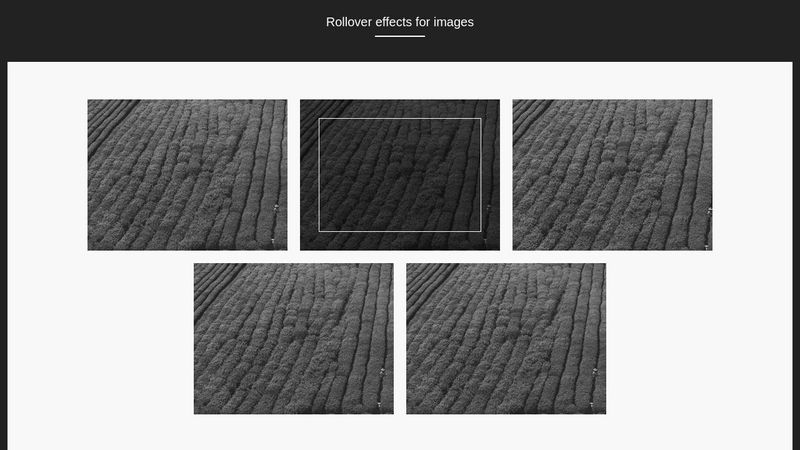 Rollover effects for images