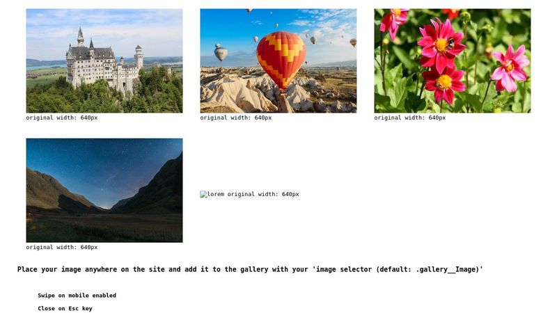 Async Lightbox Gallery - Vanilla JS